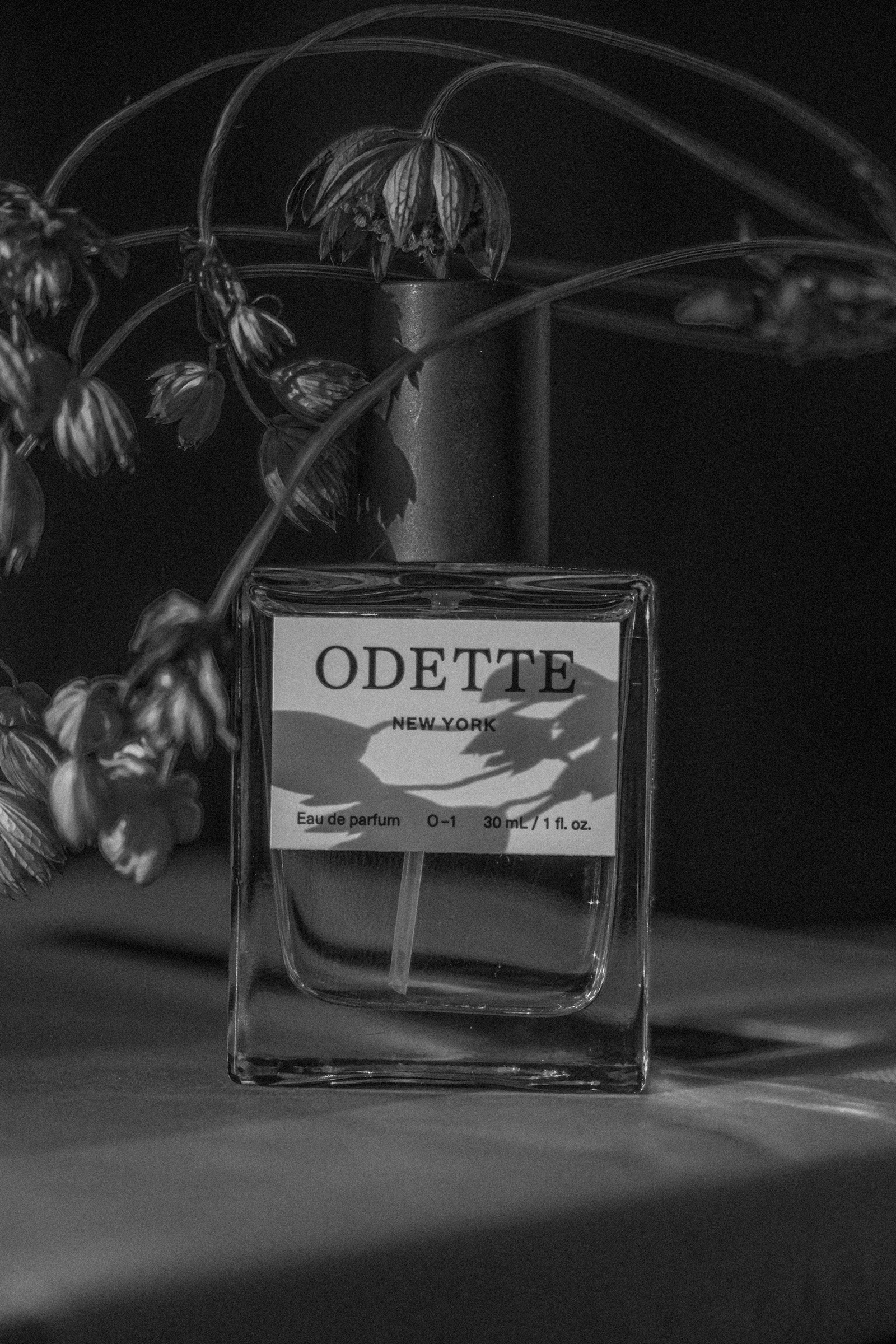 STUDIO PAQUETTE — Odette